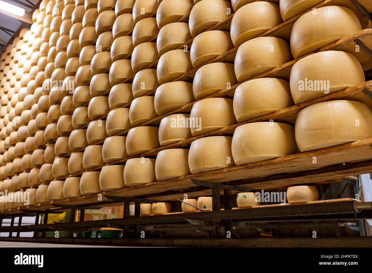 Process of making parmigiano-reggiano parmesan hard cheese on small ...