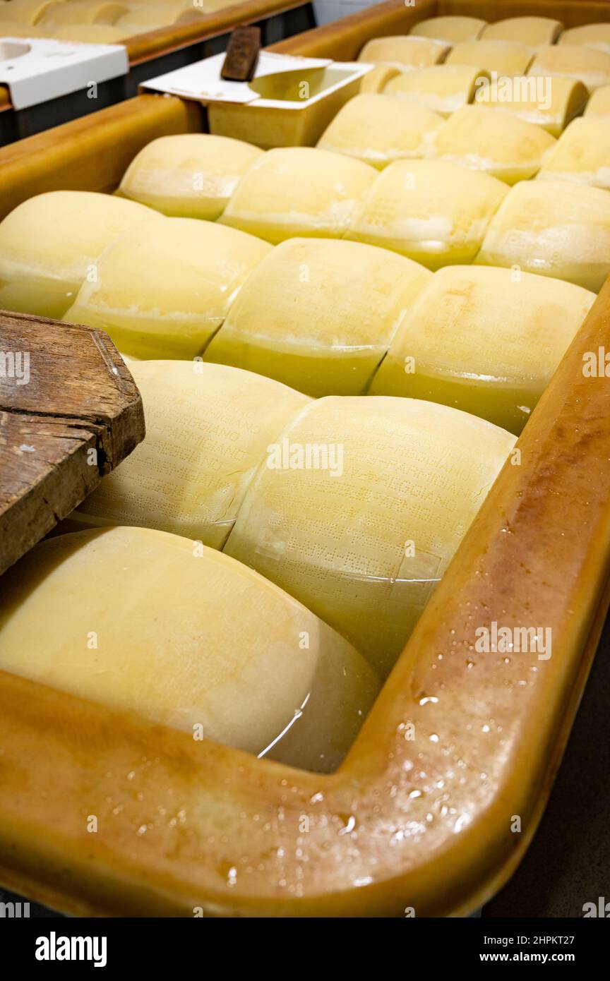 Process of making parmigiano-reggiano parmesan hard cheese on small ...