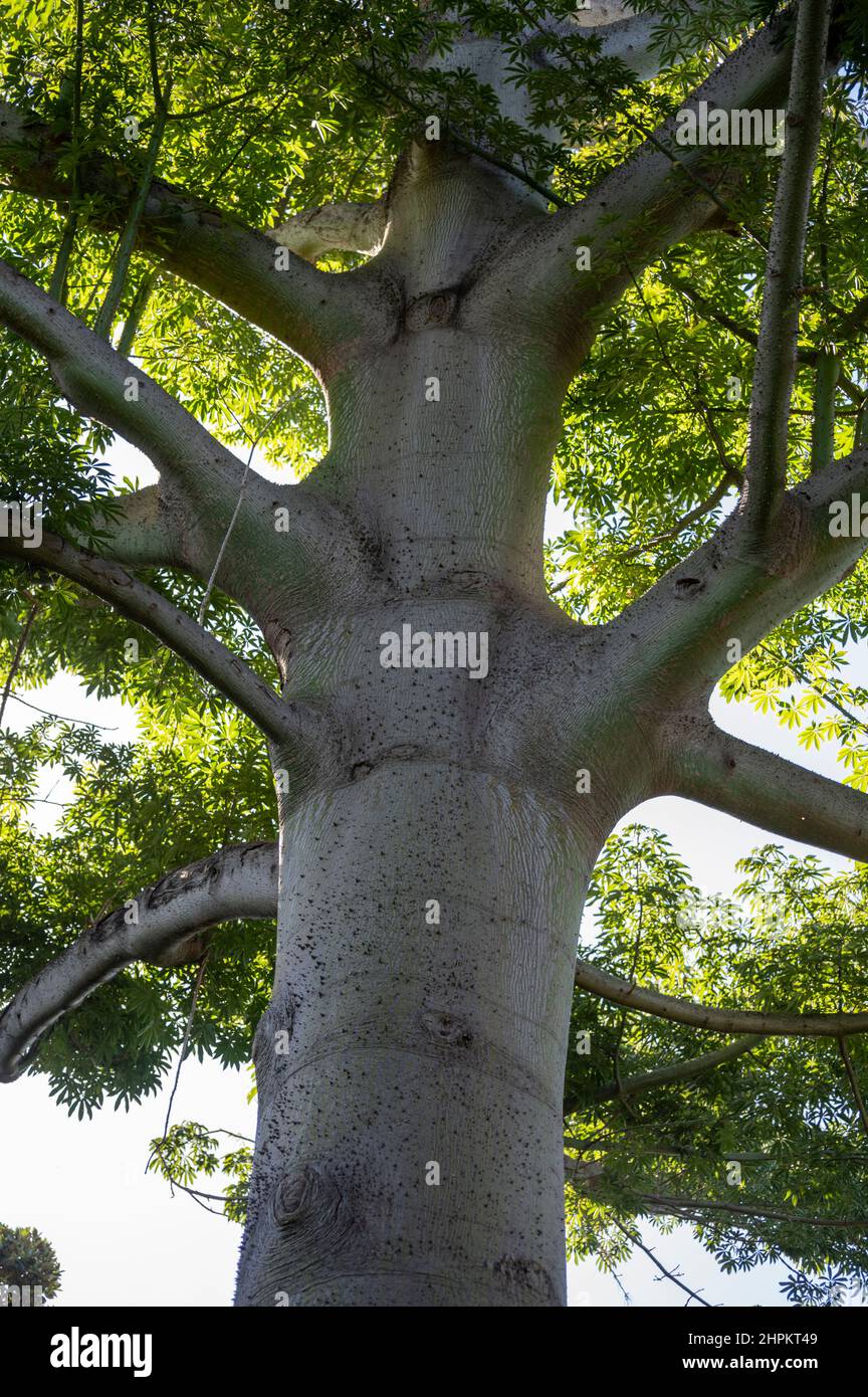 Painera hi-res stock photography and images - Alamy