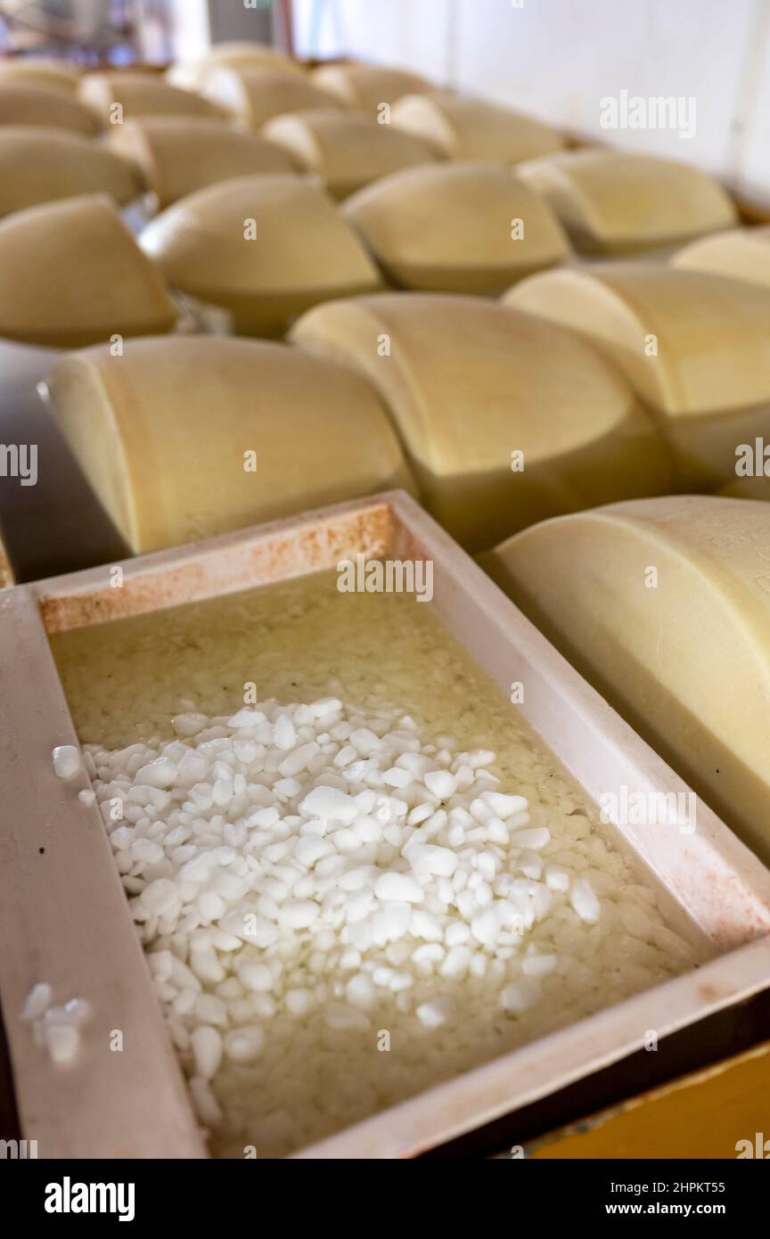 Process of making parmigiano-reggiano parmesan hard cheese on small ...