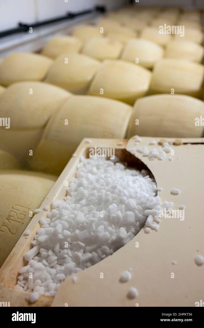Process of making parmigiano-reggiano parmesan hard cheese on small ...