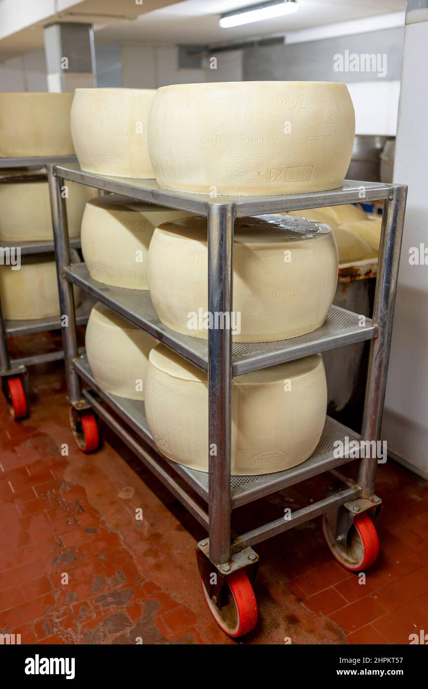 Process of making parmigiano-reggiano parmesan hard cheese on small ...