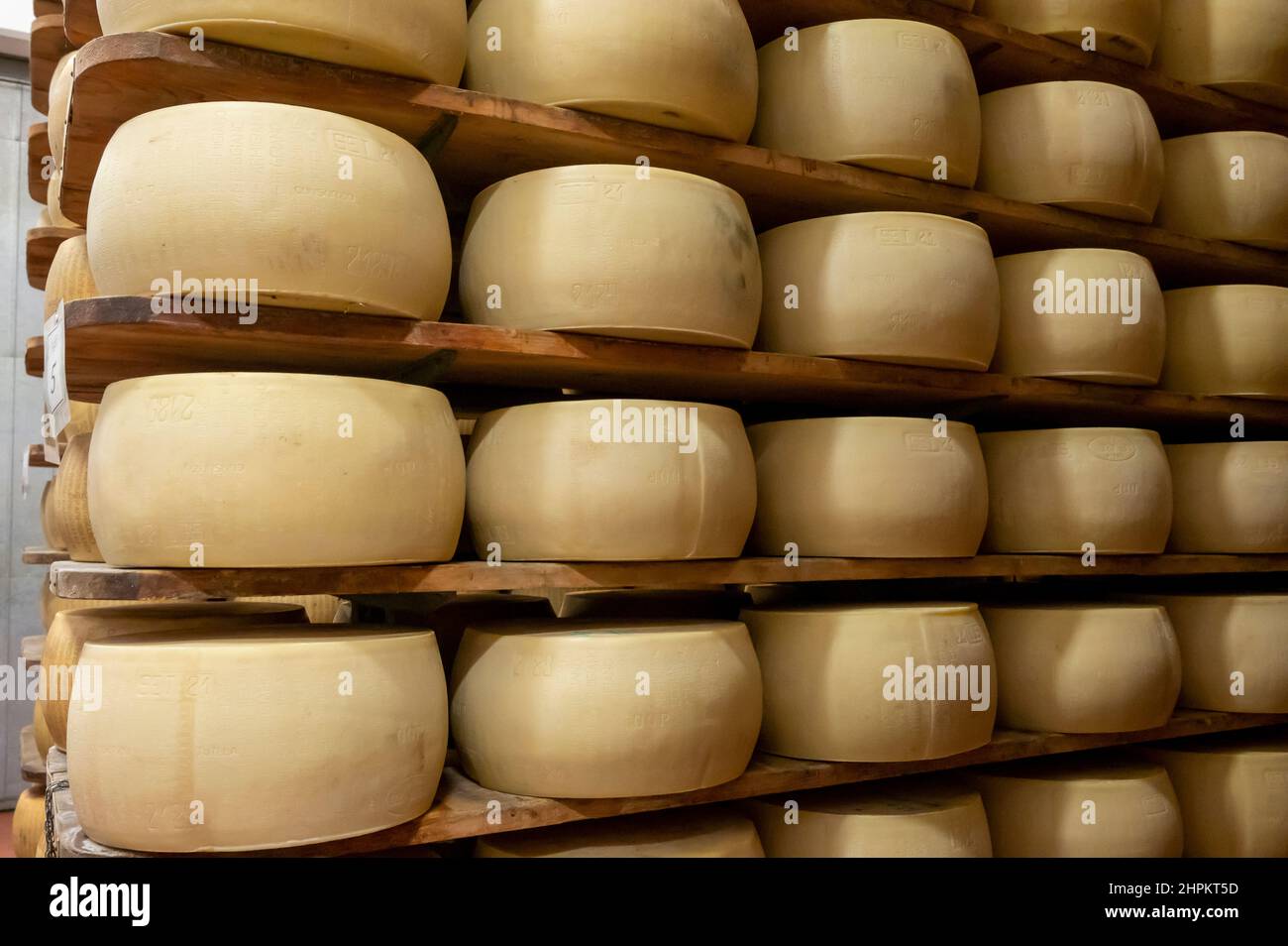 Process of making parmigiano-reggiano parmesan hard cheese on small ...