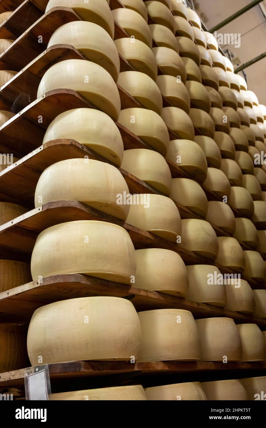 Process of making parmigiano-reggiano parmesan hard cheese on small ...