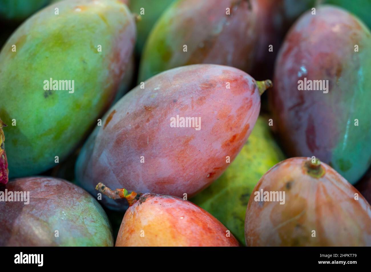 Fresh juicy colorful mango tropical fruits in box in grocery store ...