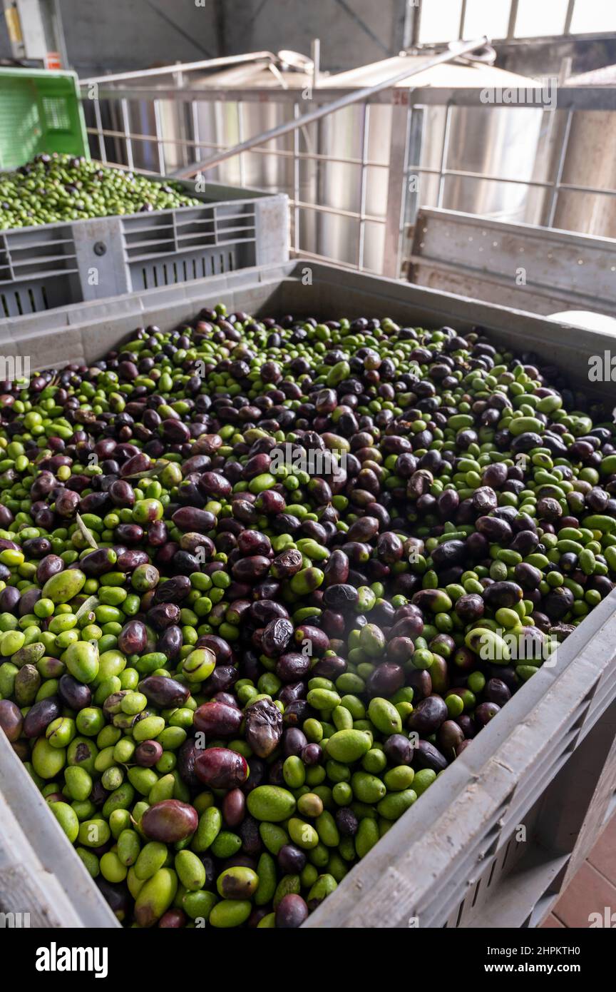 Olive oil mill tuscany hi-res stock photography and images - Alamy