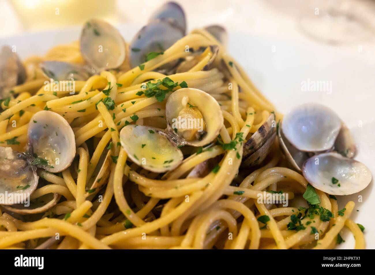 Italian sea food dinner first course pasta with clams alle vongole ...
