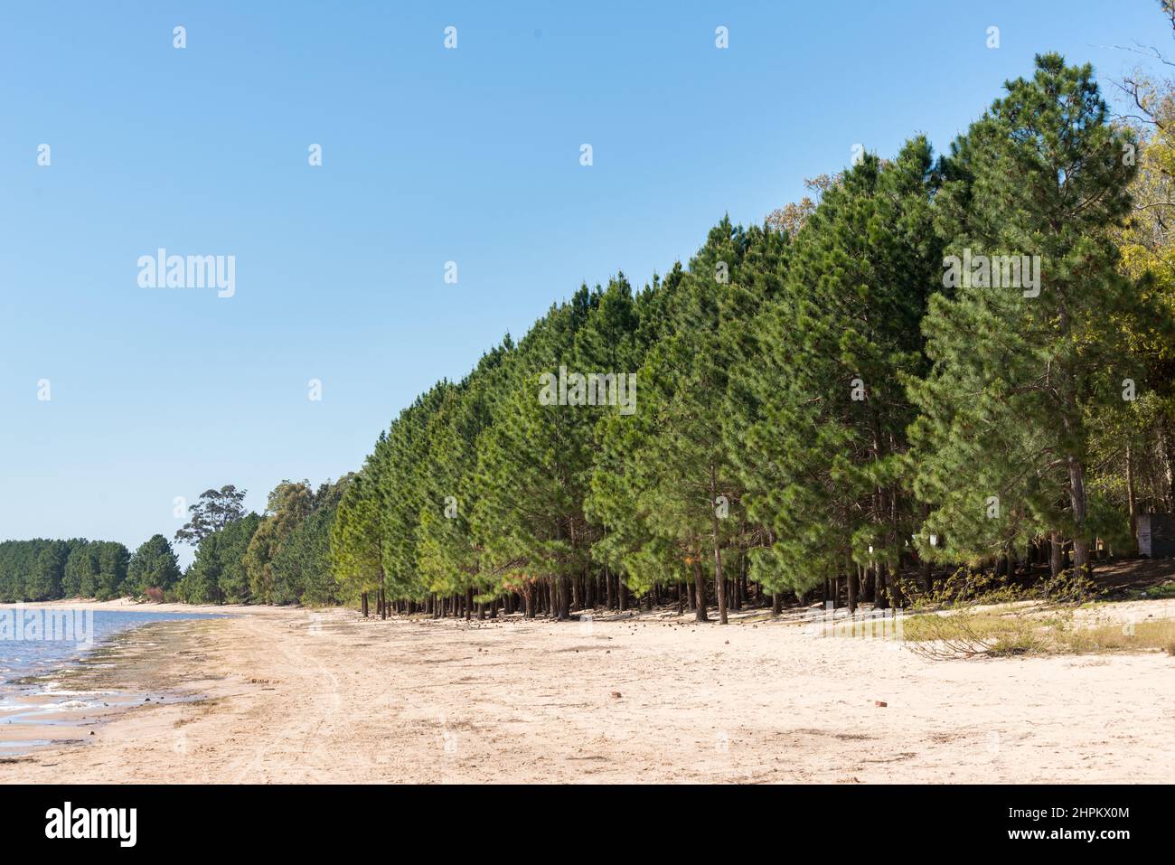 Rio san gregorio hi-res stock photography and images - Alamy