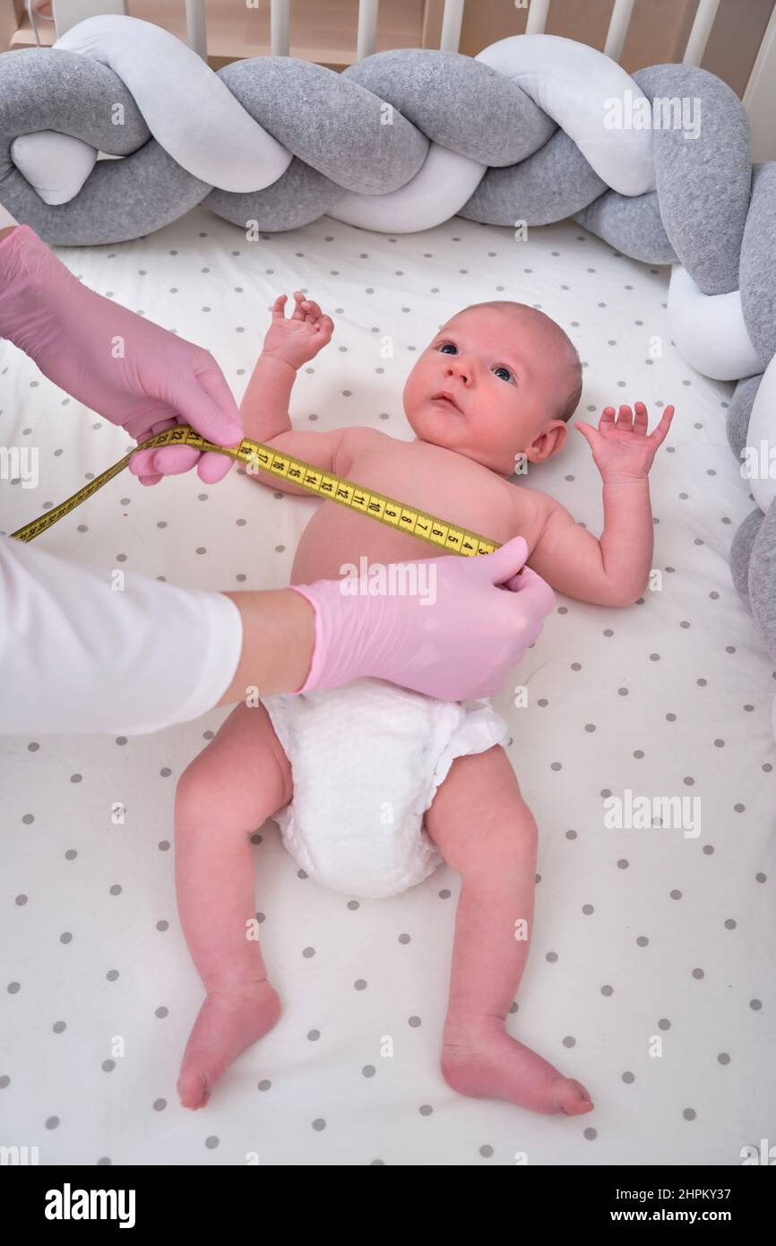 Doctor measures the growth of a newborn baby. A nurse in uniform checks ...
