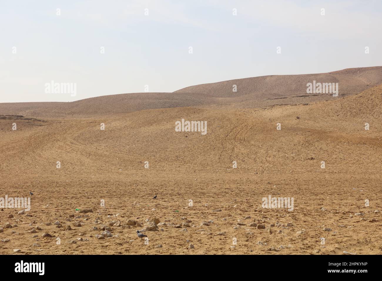 The Giza Pyramids desert Stock Photo - Alamy