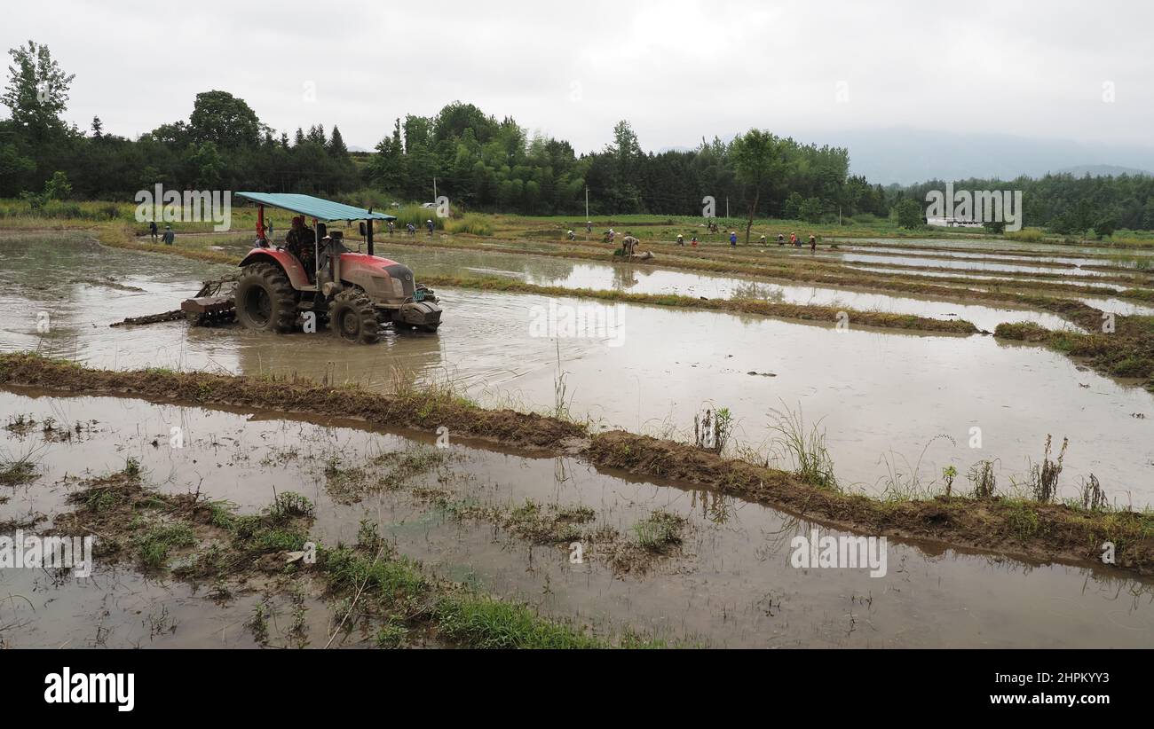 Spring planting mechanization Stock Photo - Alamy
