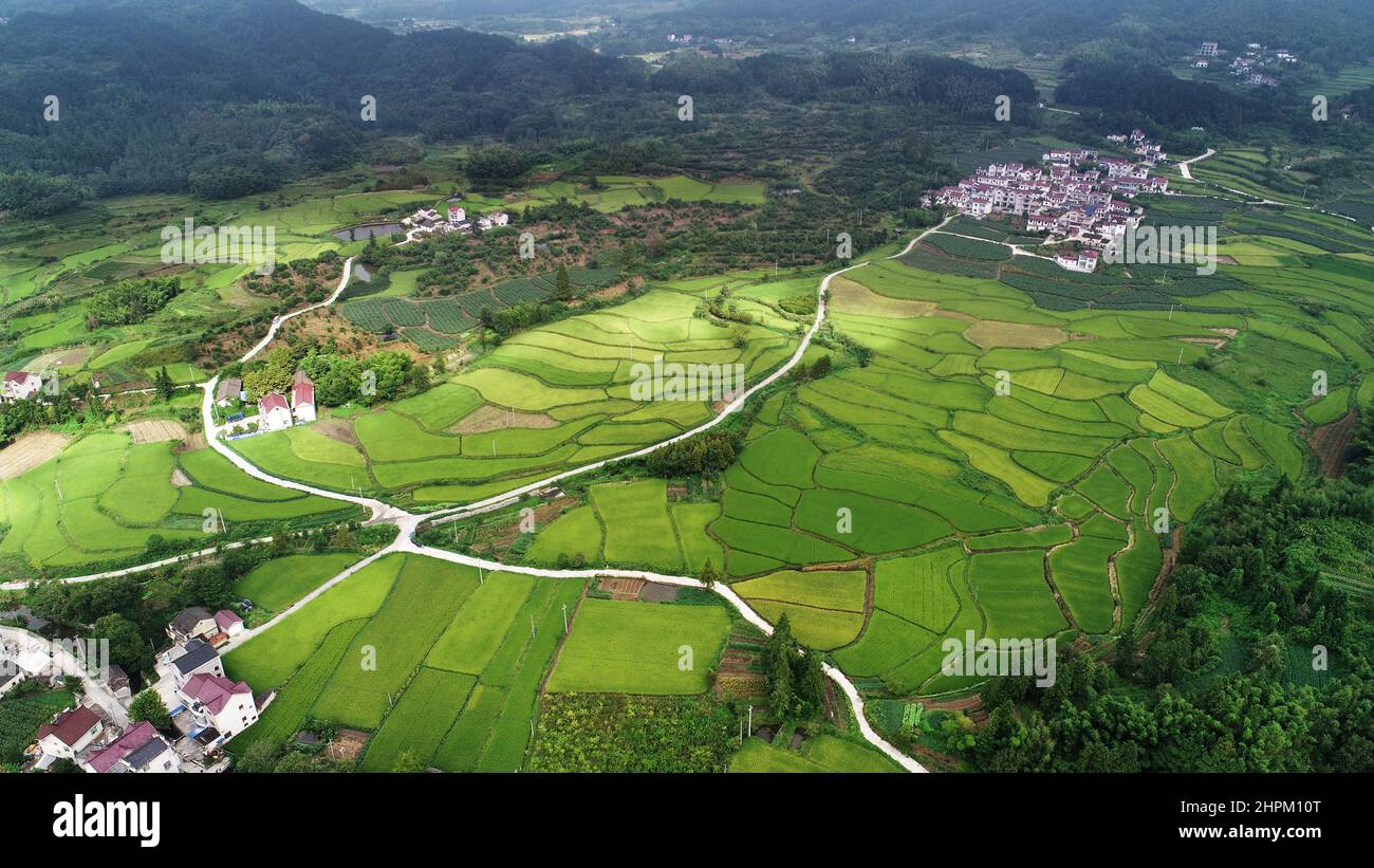 The country field Stock Photo - Alamy