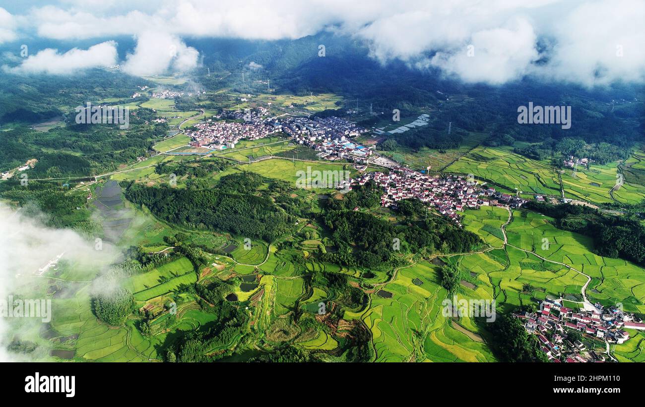 The country field Stock Photo - Alamy