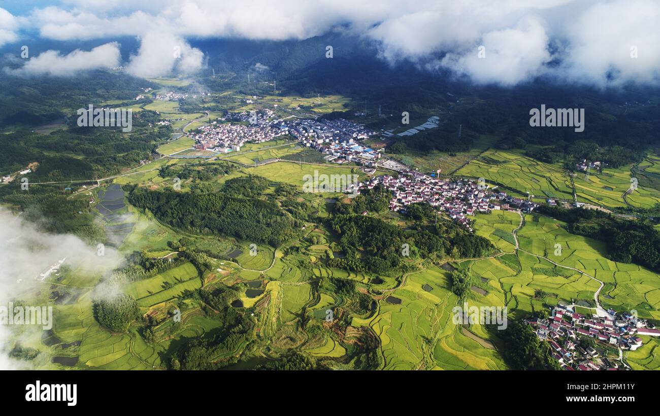 The country field Stock Photo - Alamy