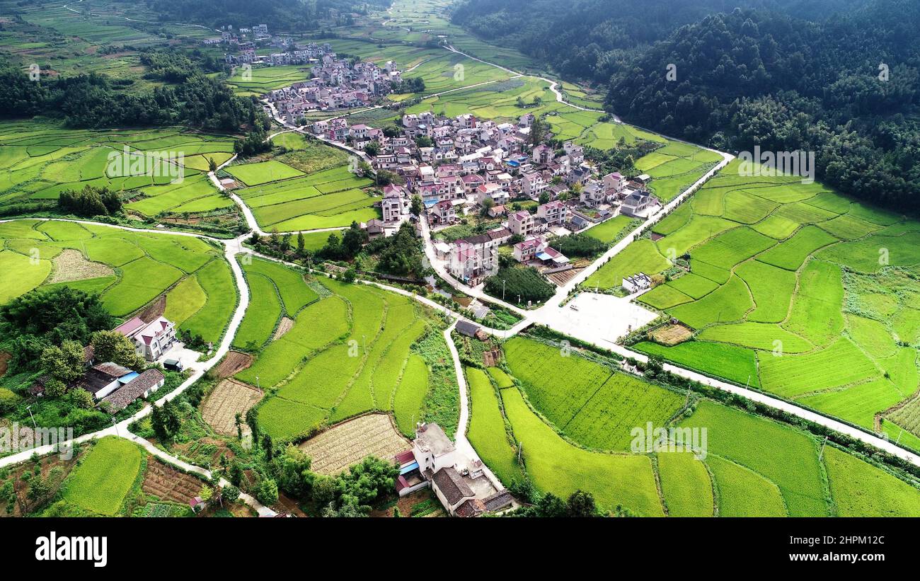 The country field Stock Photo - Alamy