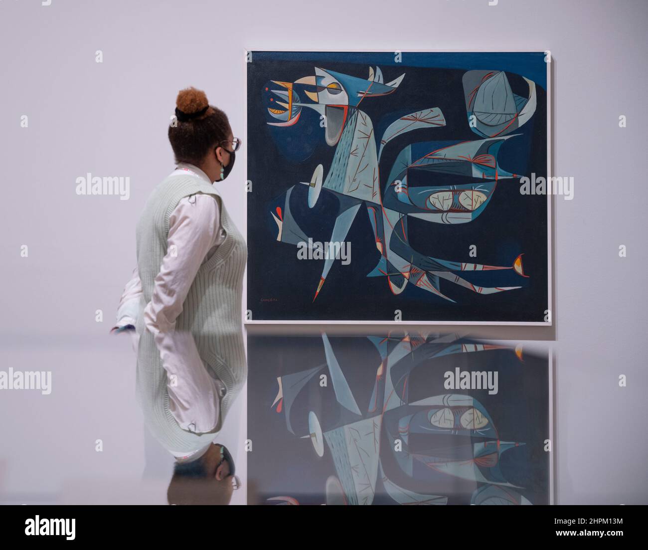 El vuelo nocturno del pajoro pi hi-res stock photography and images - Alamy