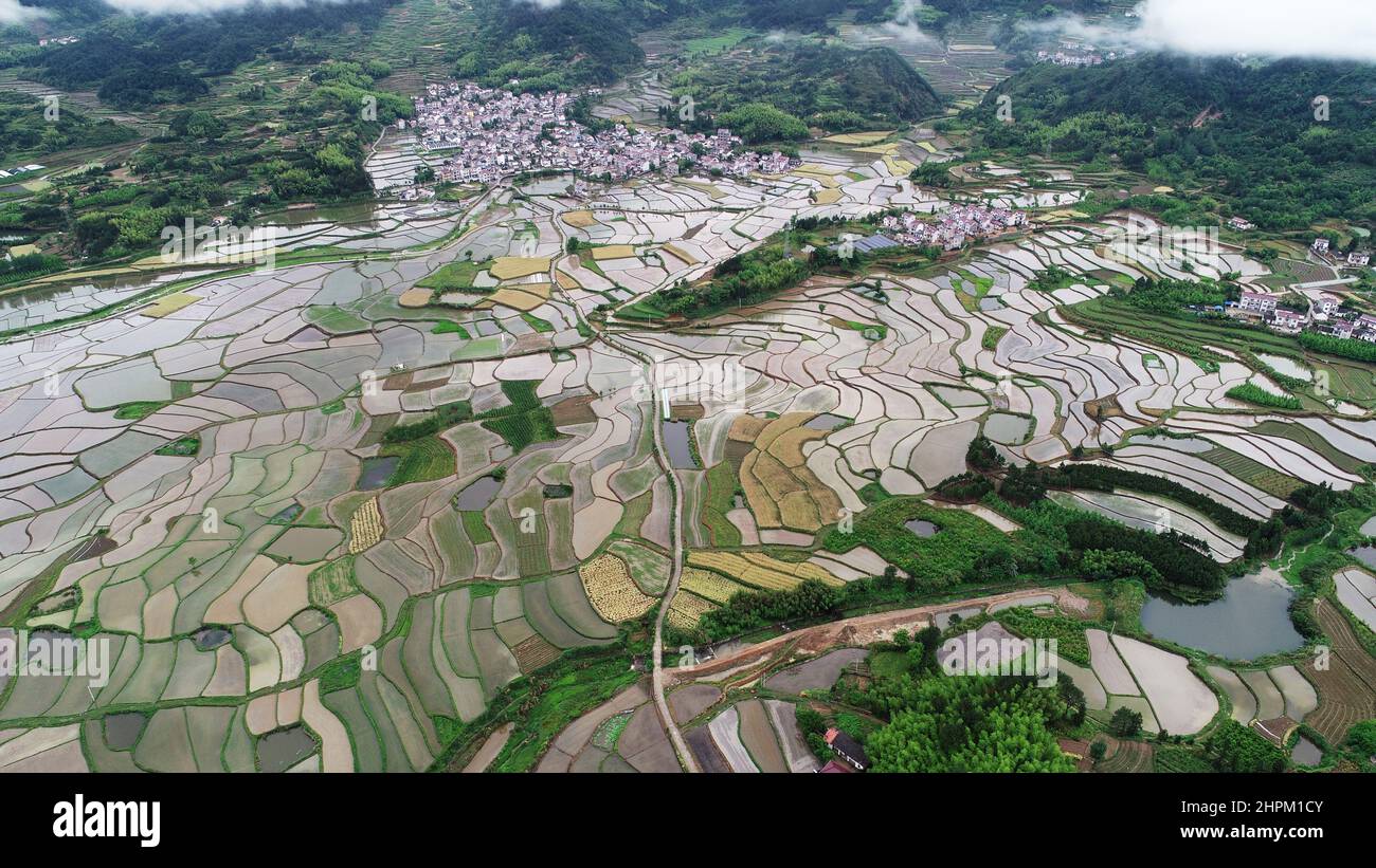 The rice granary in the south of anhui Stock Photo - Alamy