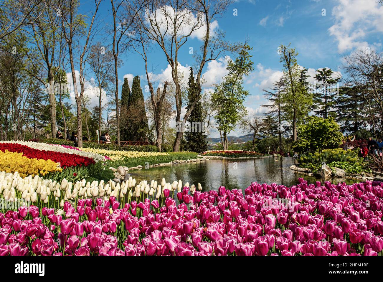 Emirgan Park, Istanbul Stock Photo - Alamy