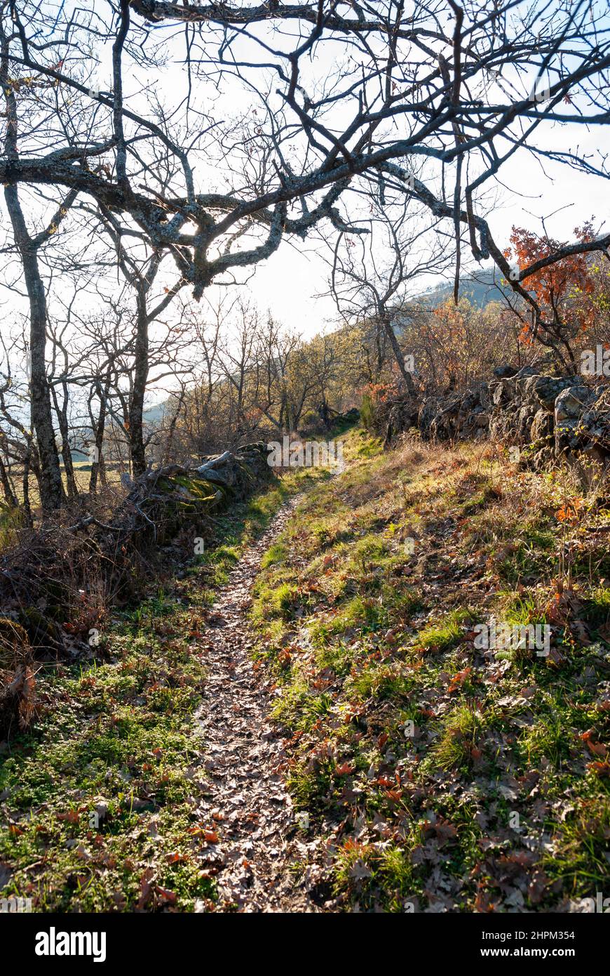 Narrow path to heaven hi-res stock photography and images - Alamy