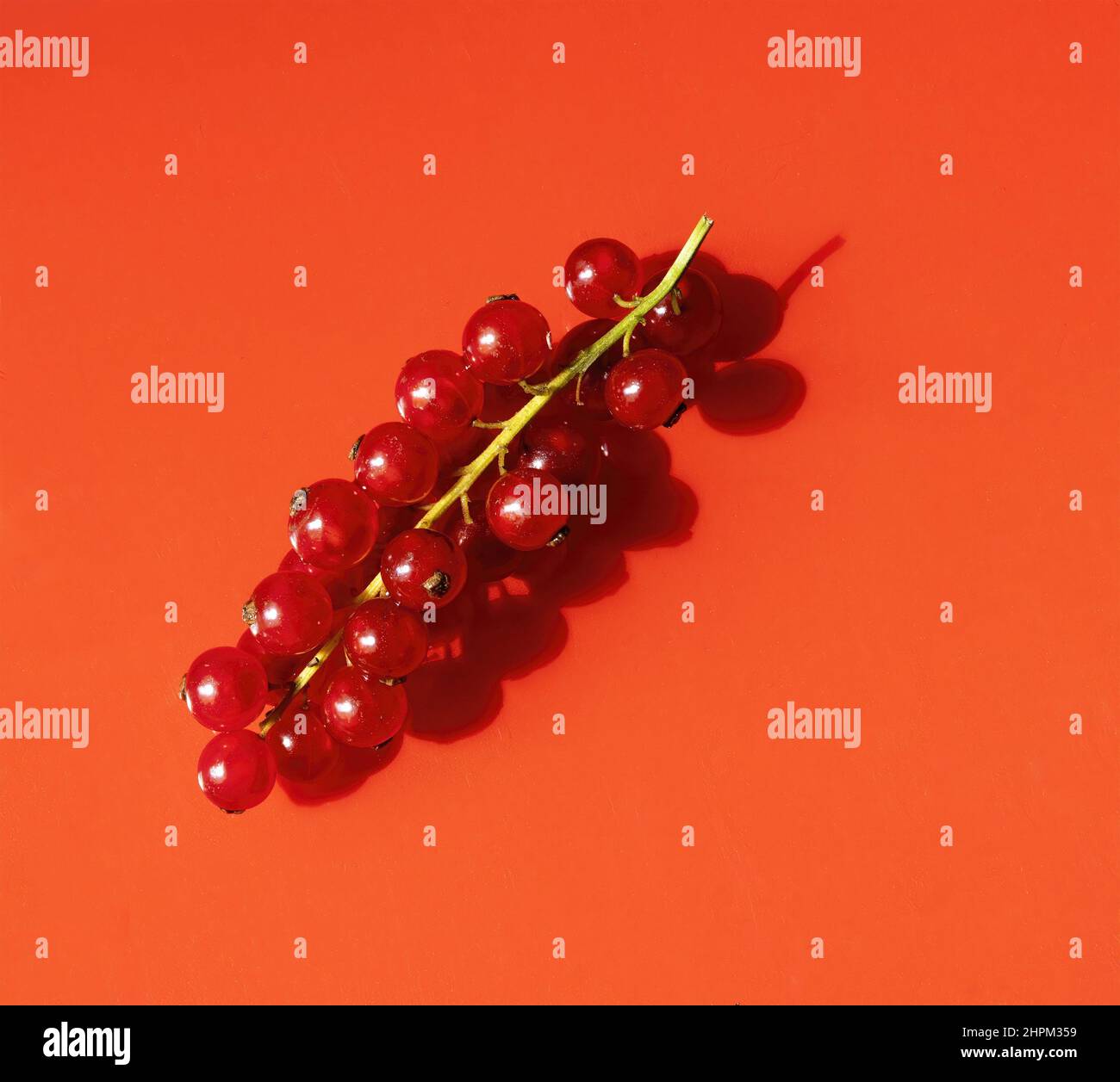 Top view of a bunch of red currants on orange background Stock Photo ...
