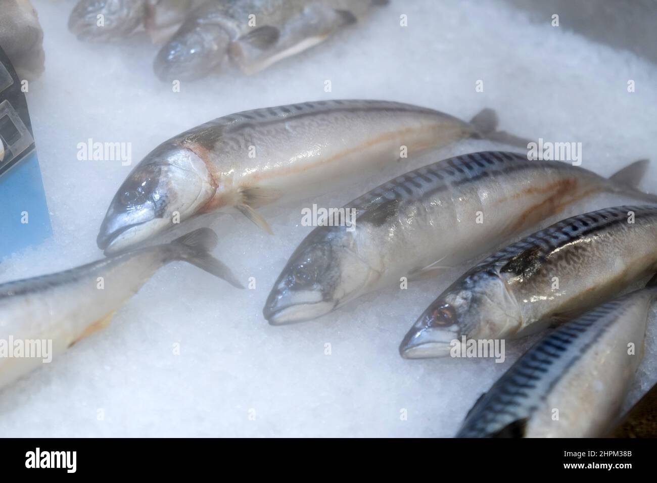 Chilled fish storage hi-res stock photography and images - Alamy