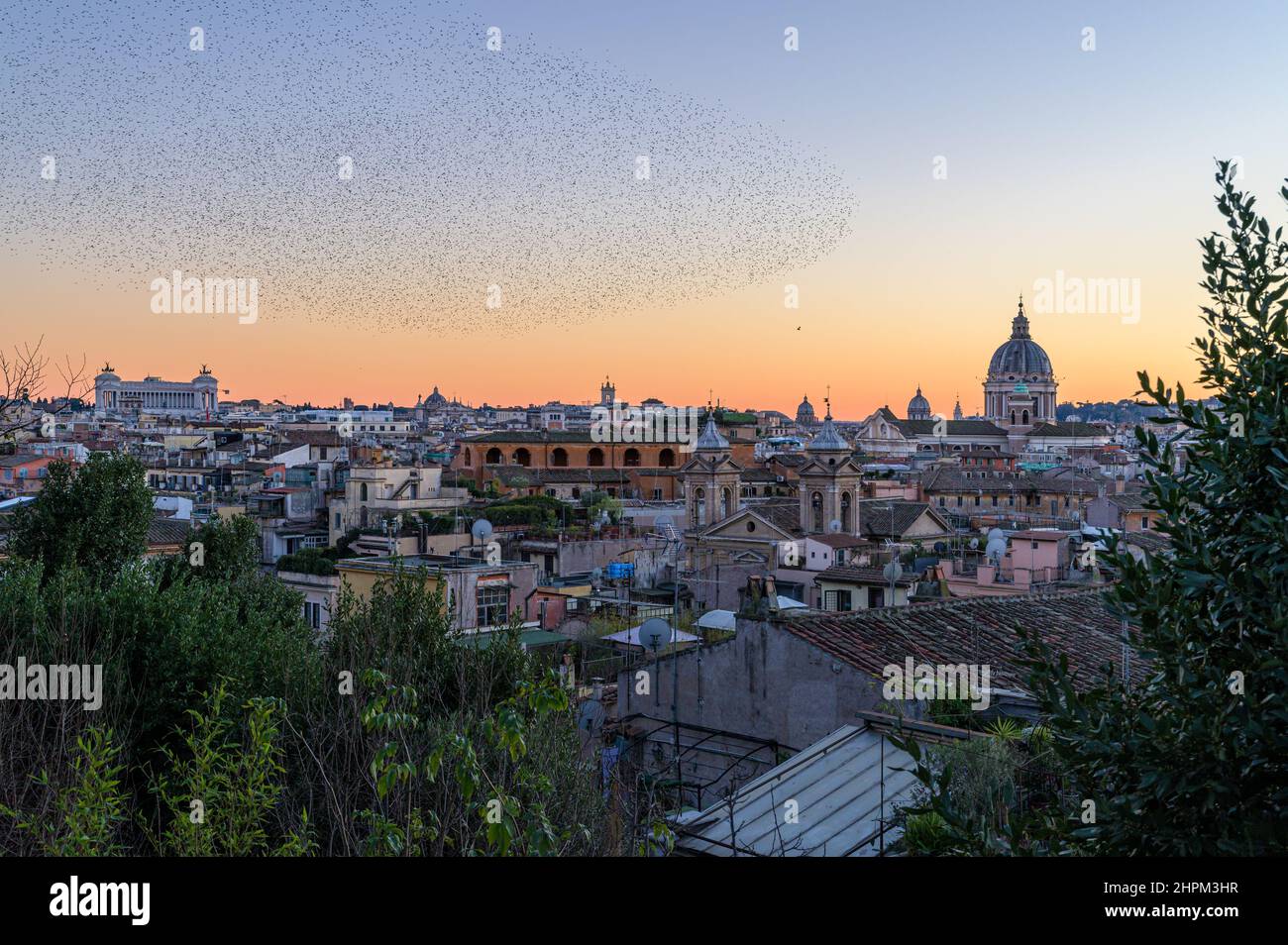 Rome city center skyline from Pincio viewpoint, with flock of starlings ...
