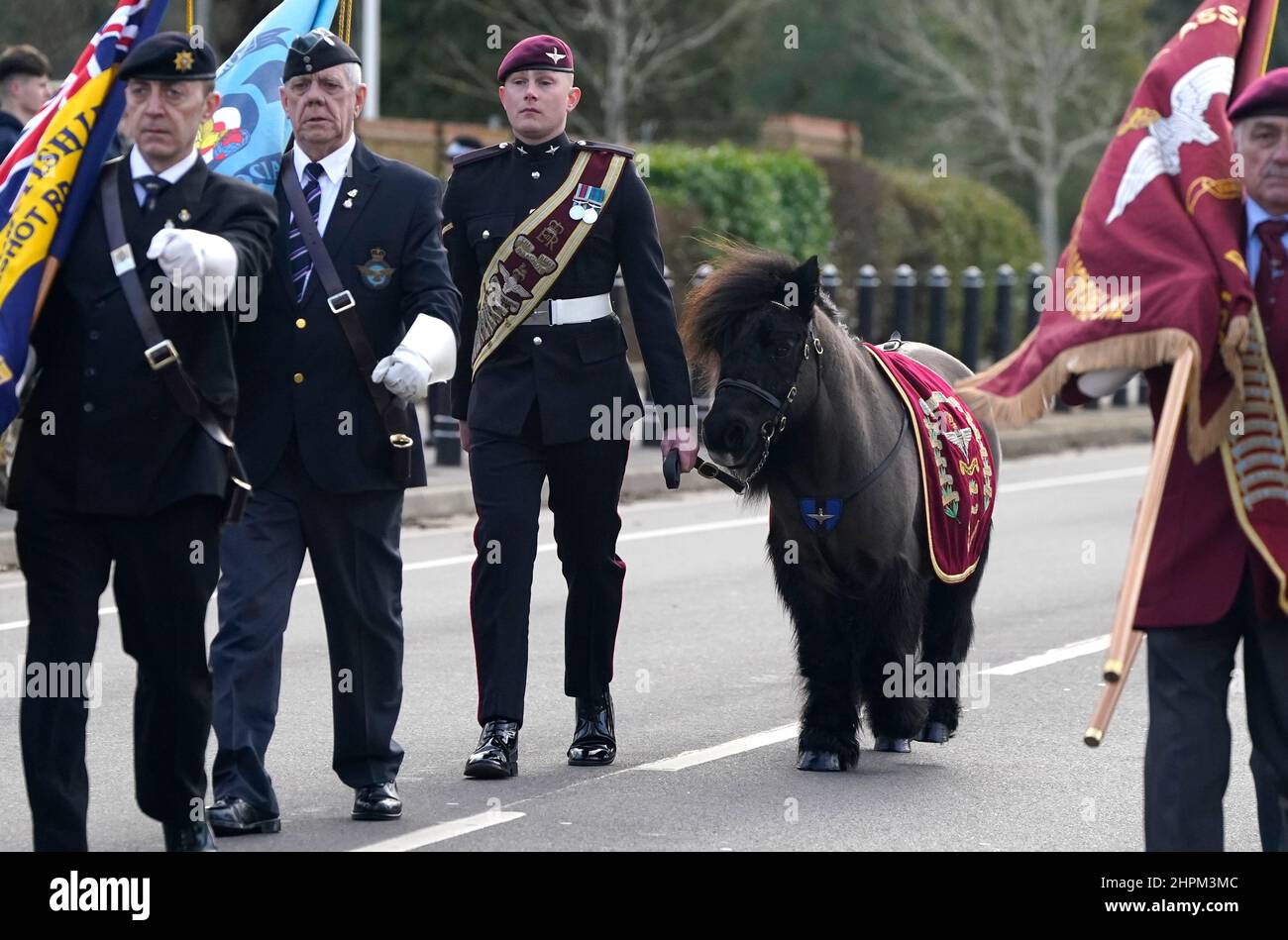 The Parachute Regiment mascot Pegasus is lead along Queen's Avenue in ...