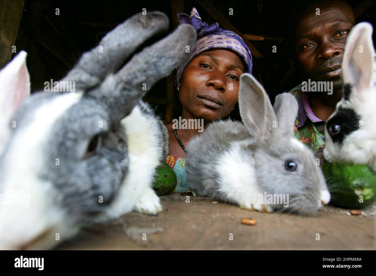 Everyday life at Lake Kivu near Bukavu. The picture is deceptive ...