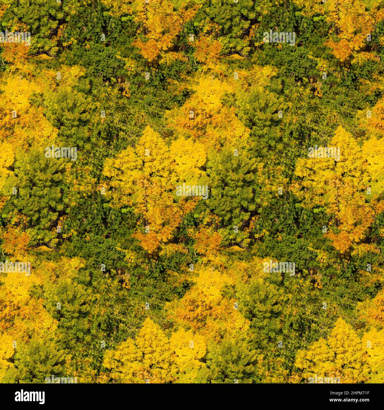 Seamless yellow and green colored autumn trees camouflage photo pattern ...