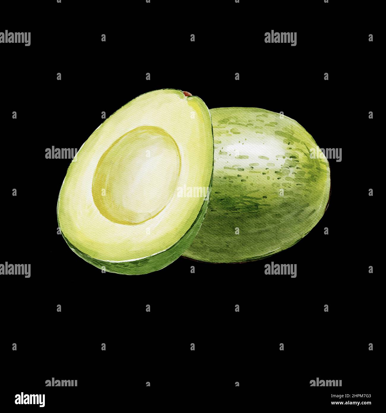 avocado watercolor illustration on black background Stock Photo - Alamy