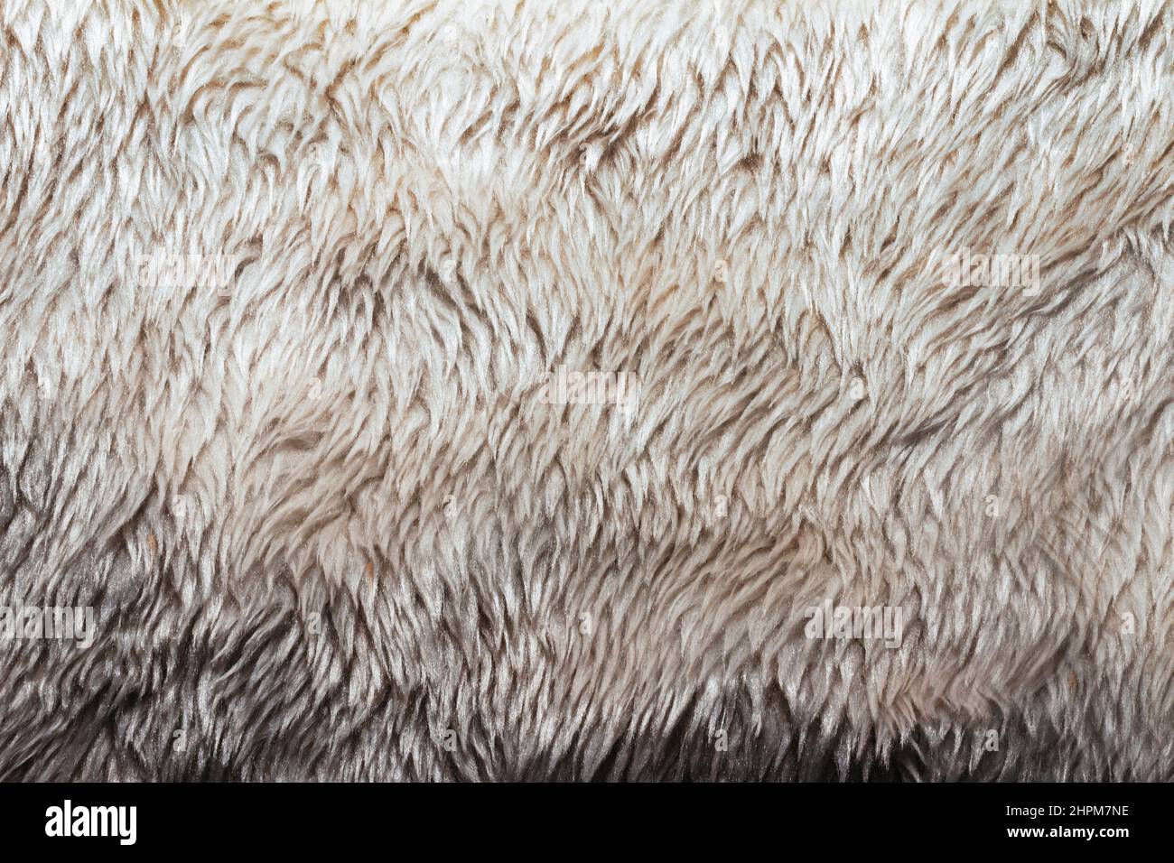 Backdrop close-up photo texture of light colored fur material Stock ...
