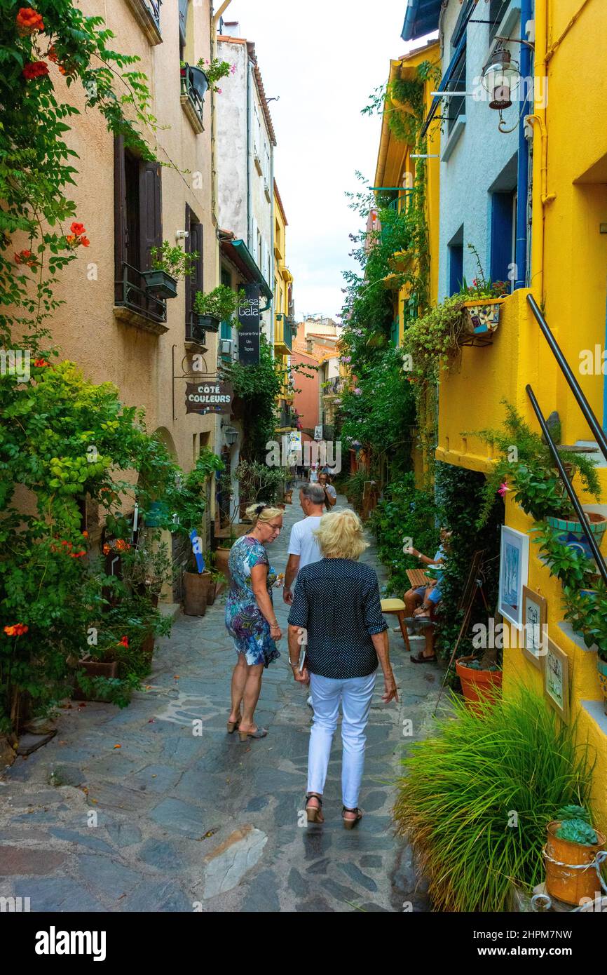 Collioure, France, (Perpignan Region), Group People, Tourists Walking ...
