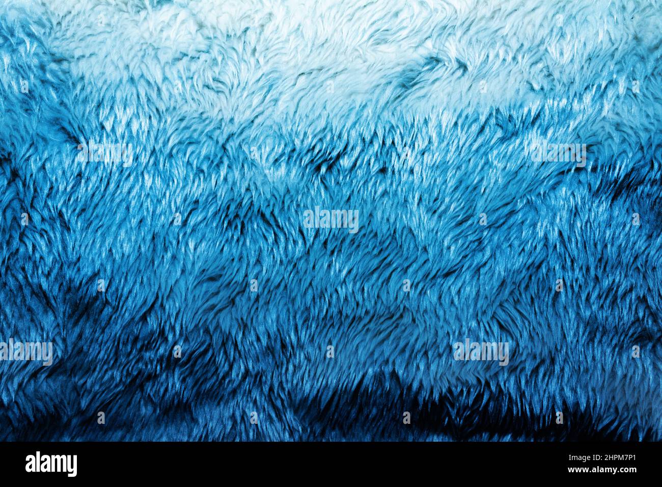 Backdrop close-up photo texture of blue colored fur material Stock ...