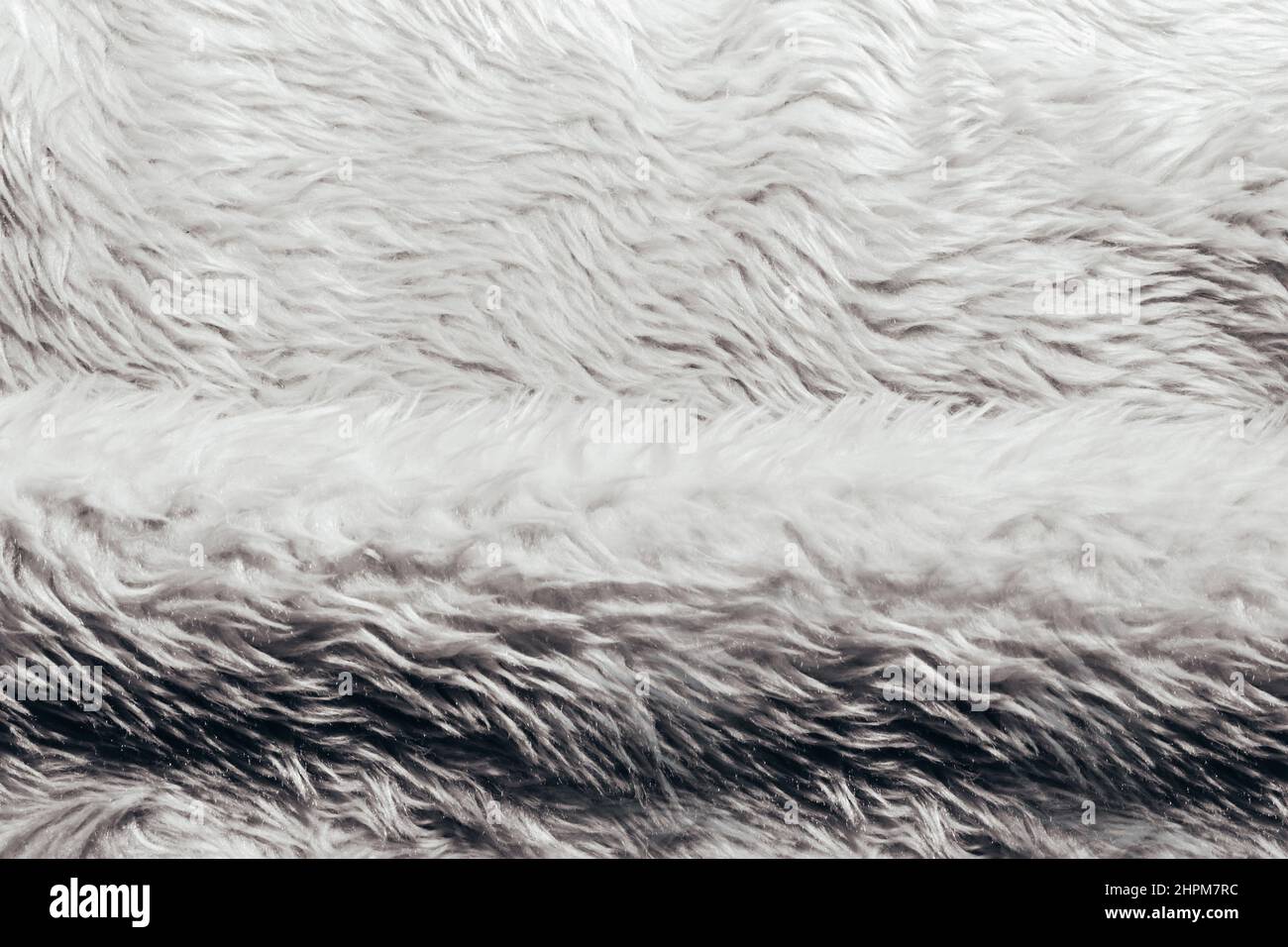 Backdrop close-up photo texture of light colored synthetic fur fold ...