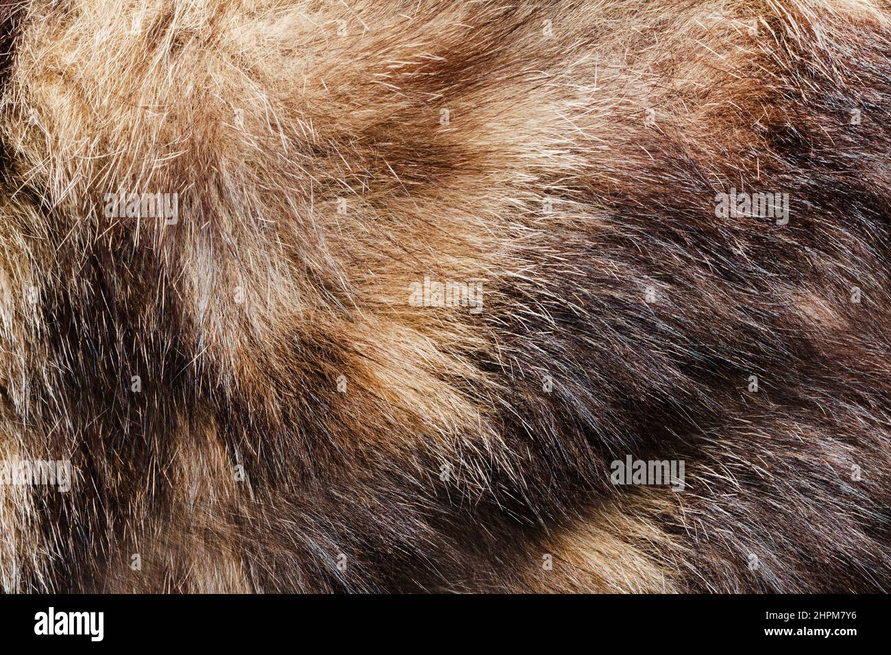 Backdrop close-up photo texture of brown colored animal fur material ...