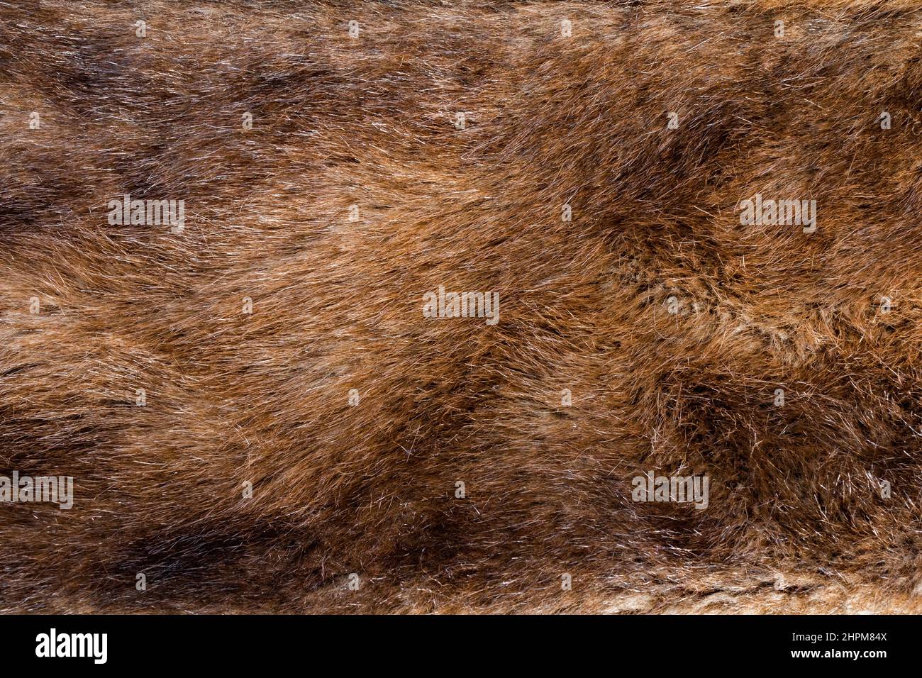 Backdrop close-up photo texture of brown colored animal fur material ...
