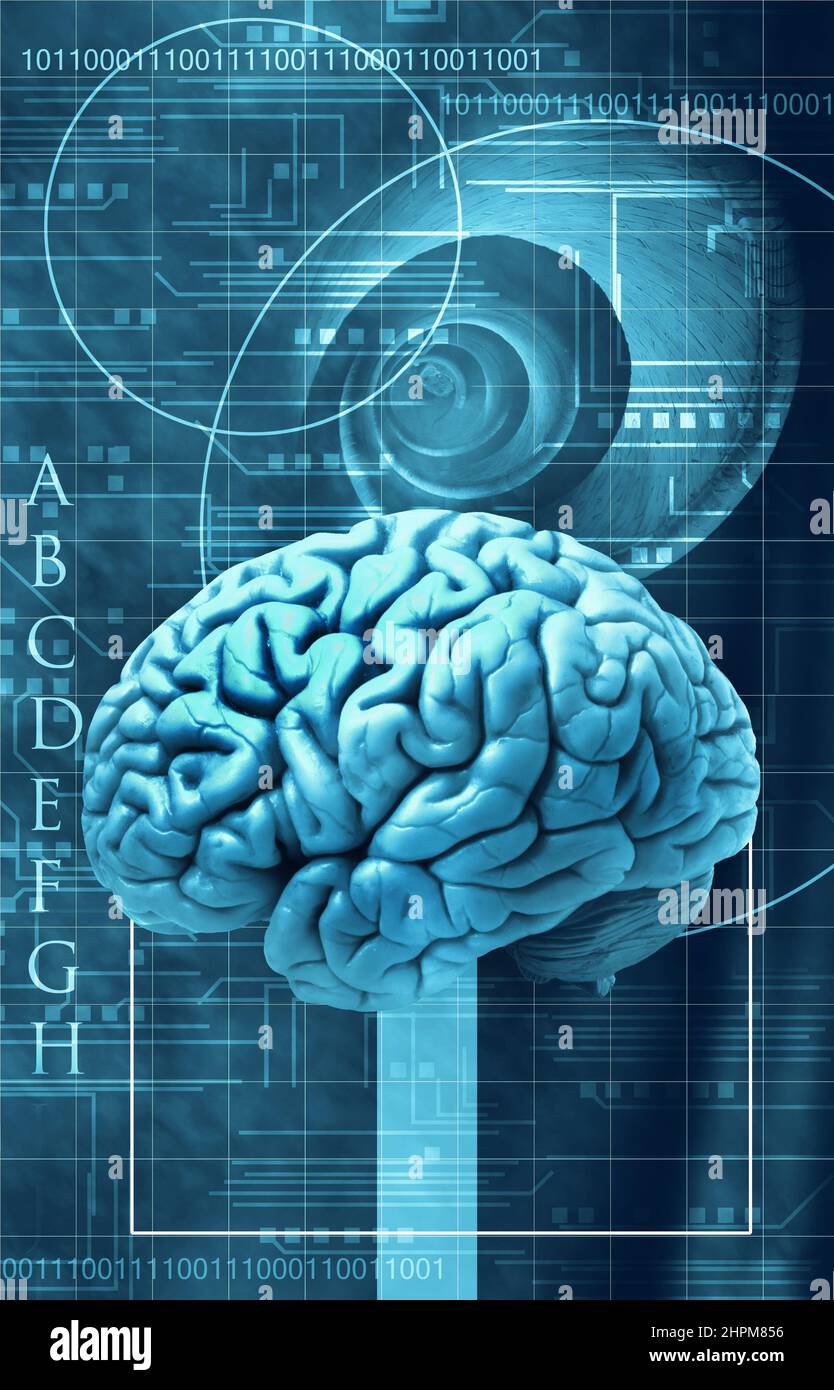 human brain as concept for science, math, language and intelligence ...