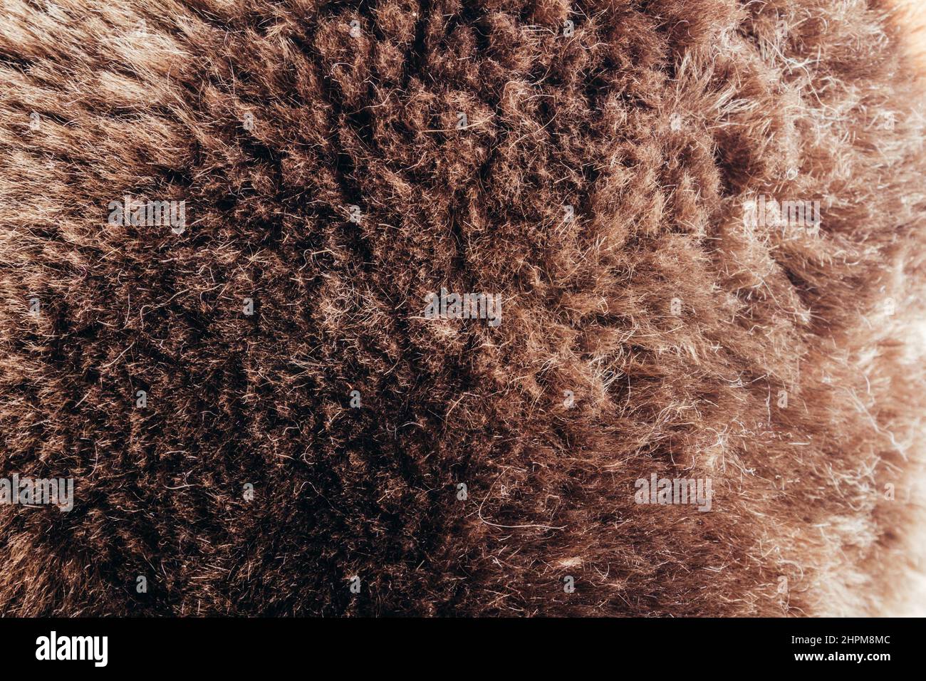 Backdrop close-up photo texture of brown colored animal fur material ...