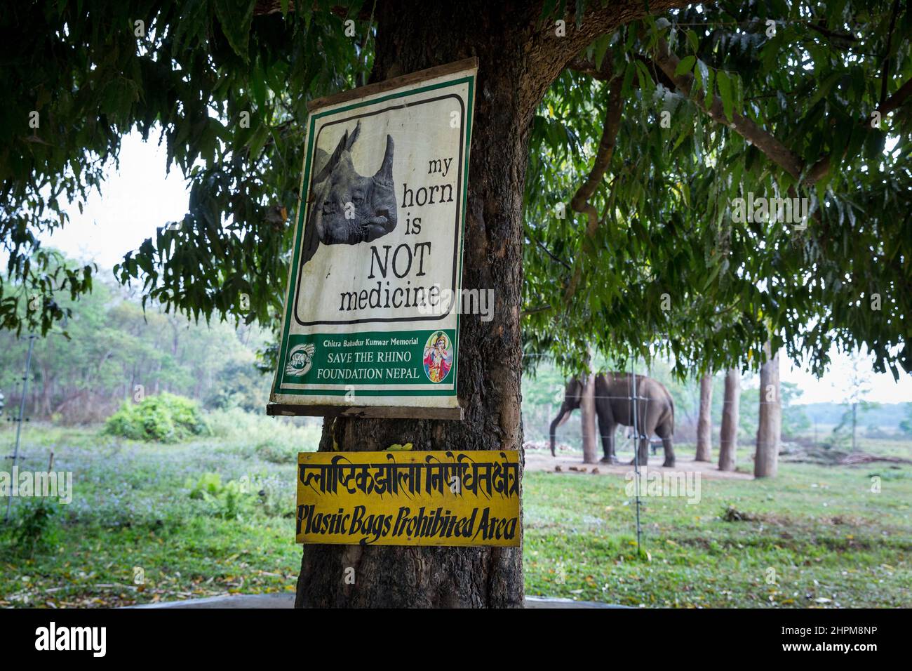 Park ranger of the anti-poaching project Chitwan National Park Nepal ...