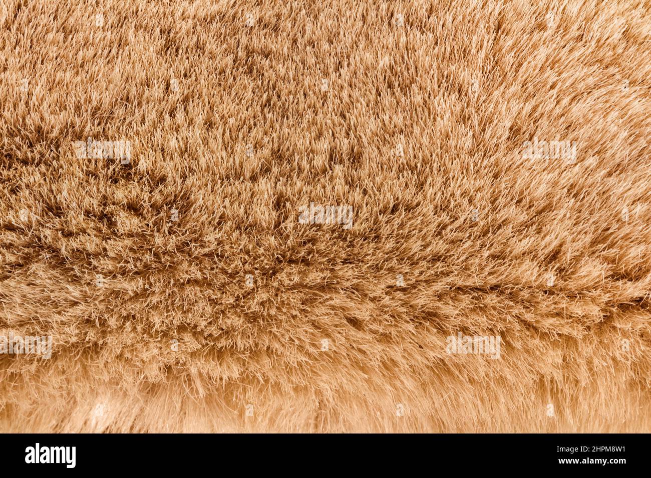 Backdrop close-up photo texture of brown colored animal fur material ...