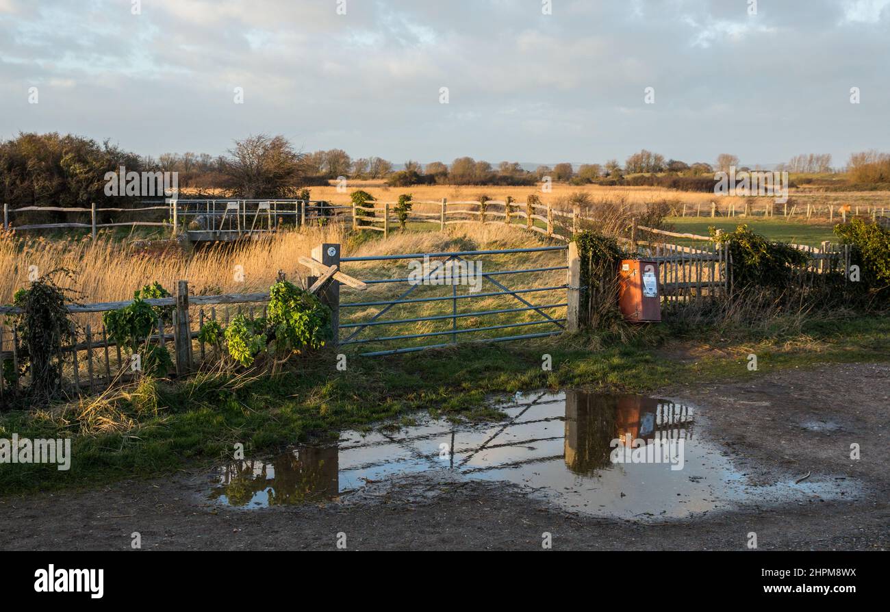 Pagham harbour marshland hi-res stock photography and images - Alamy
