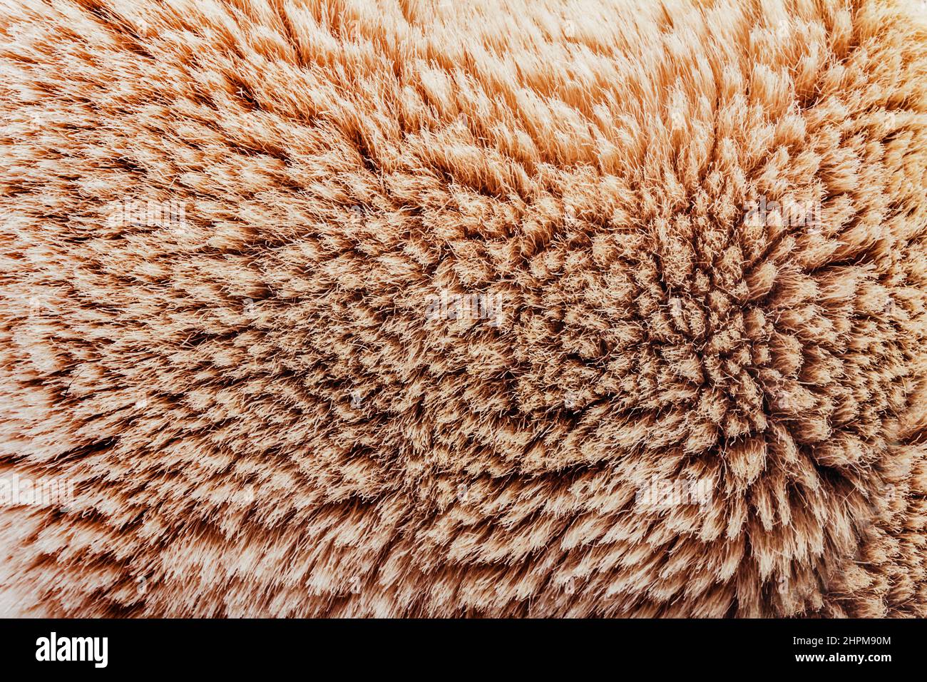 Backdrop close-up photo texture of brown colored animal fur material ...