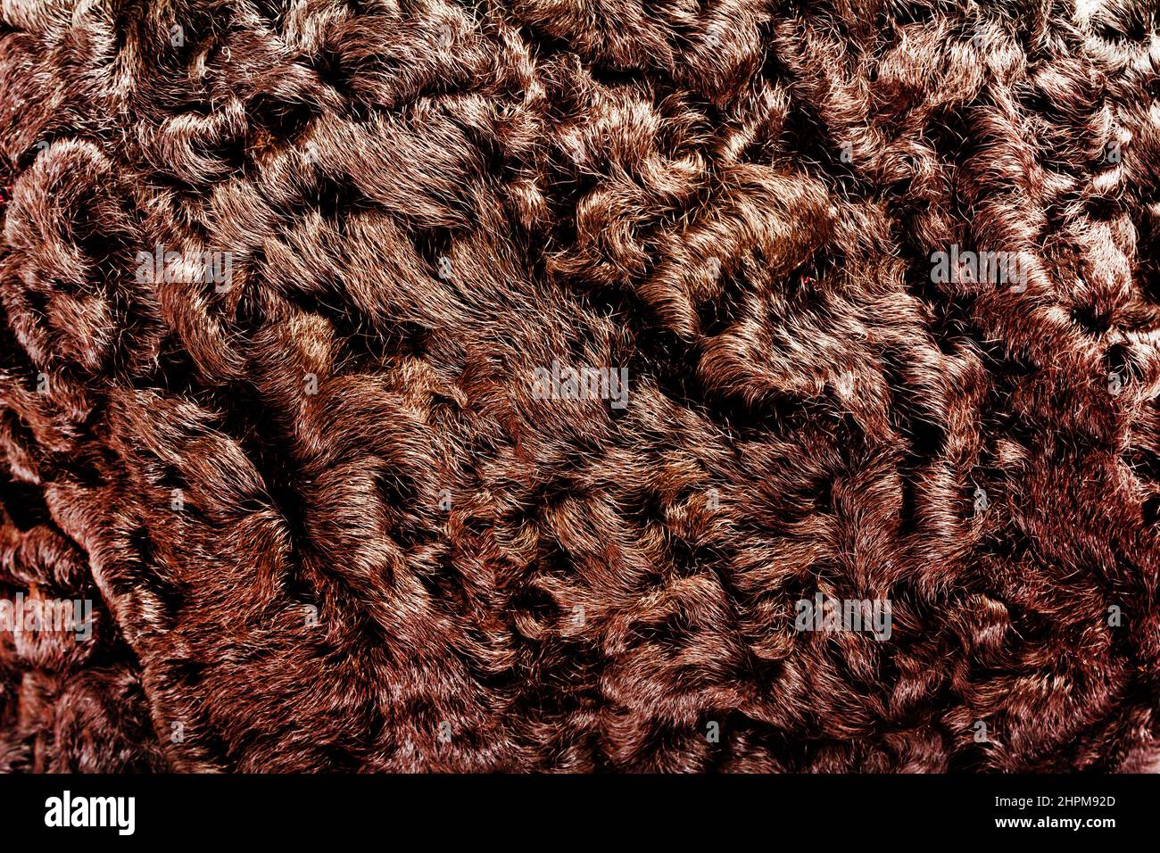 Astrakhan coat hi-res stock photography and images - Alamy