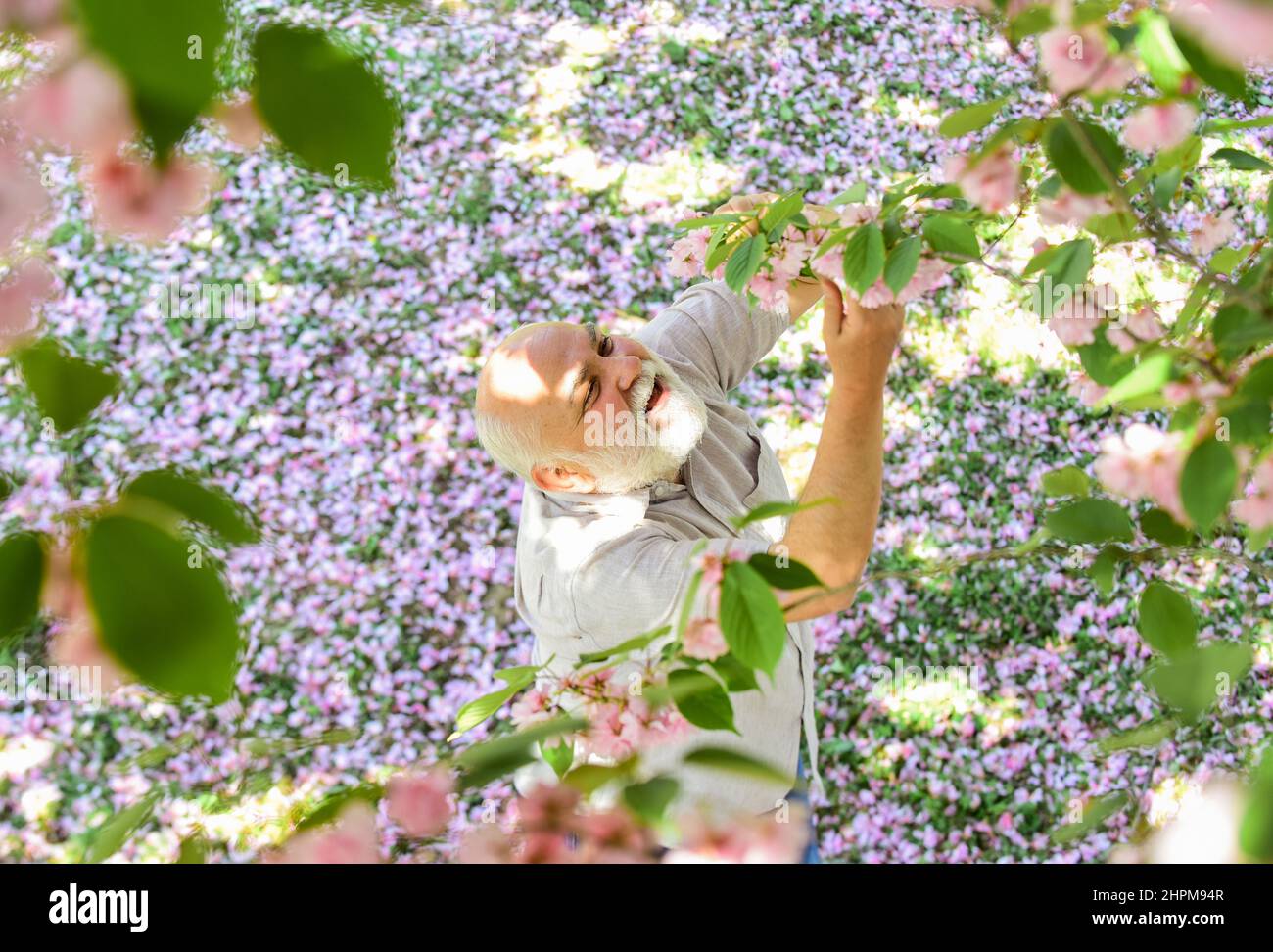 man enjoying smell. happy retirement. grandfather smiling while ...