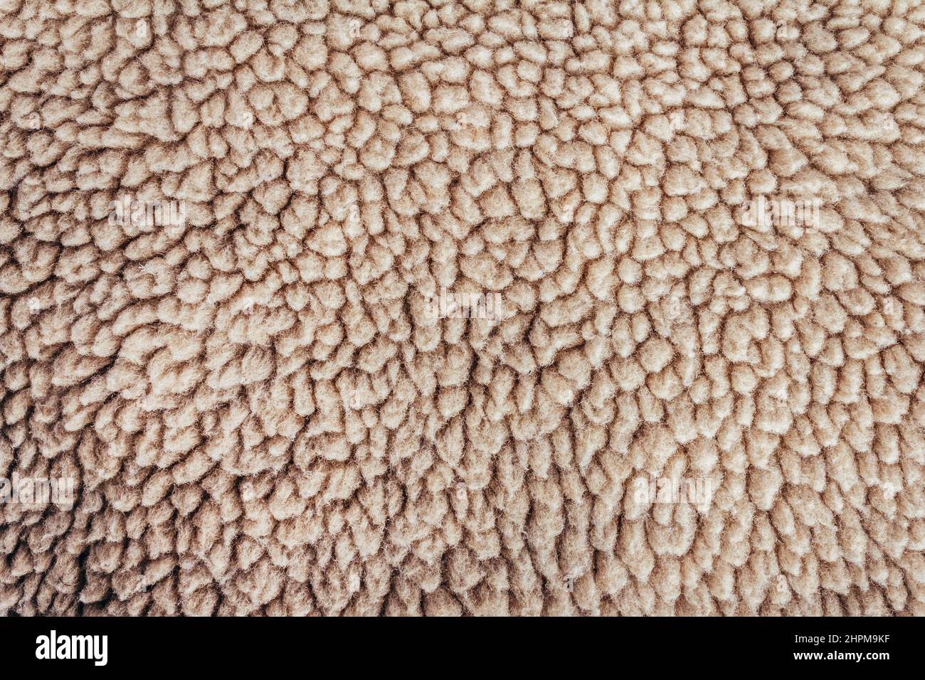 Backdrop close-up photo texture of light brown colored lining fur ...