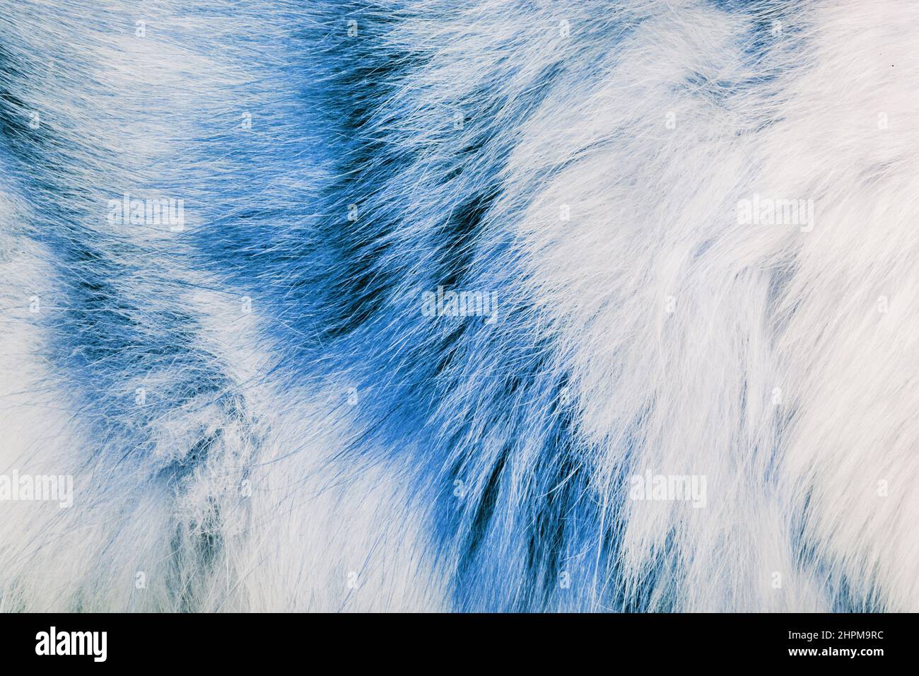 Backdrop close-up photo texture of brown colored animal fur and hair ...