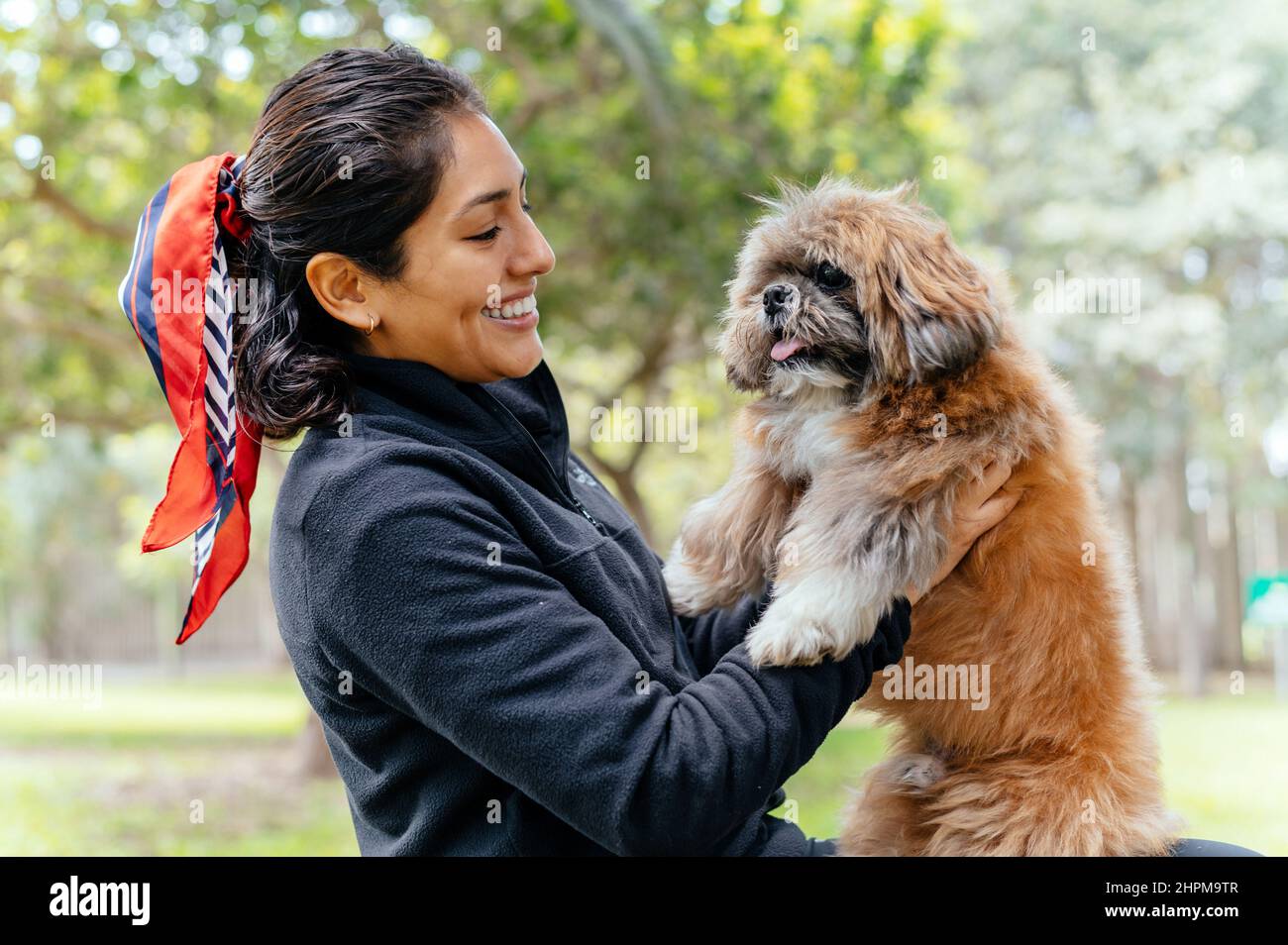 Adorable puppy in arms of its loving owner. Small adorable doggy with ...