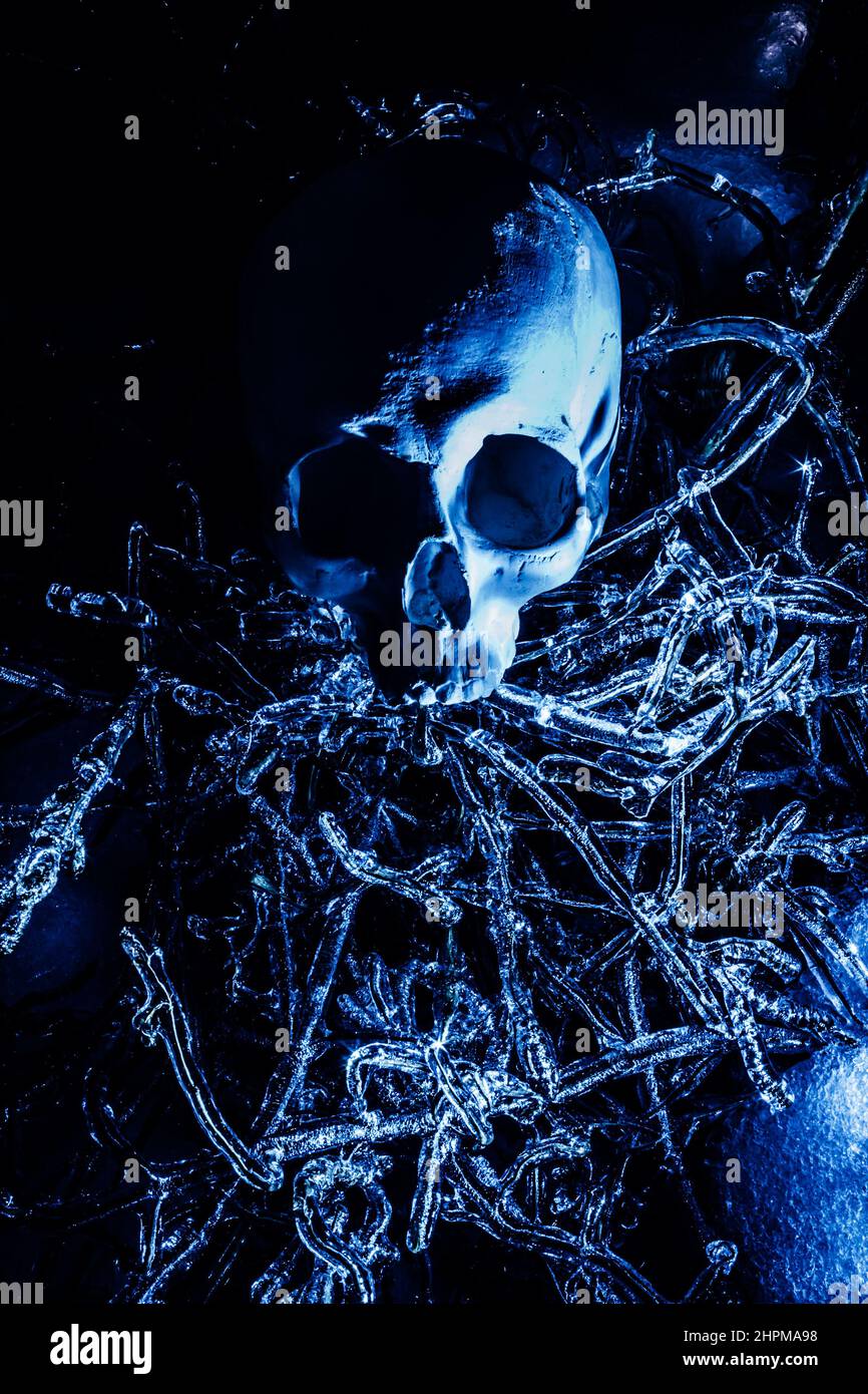 Vertical oriented horror scary photo of human skull laying on frozen ...
