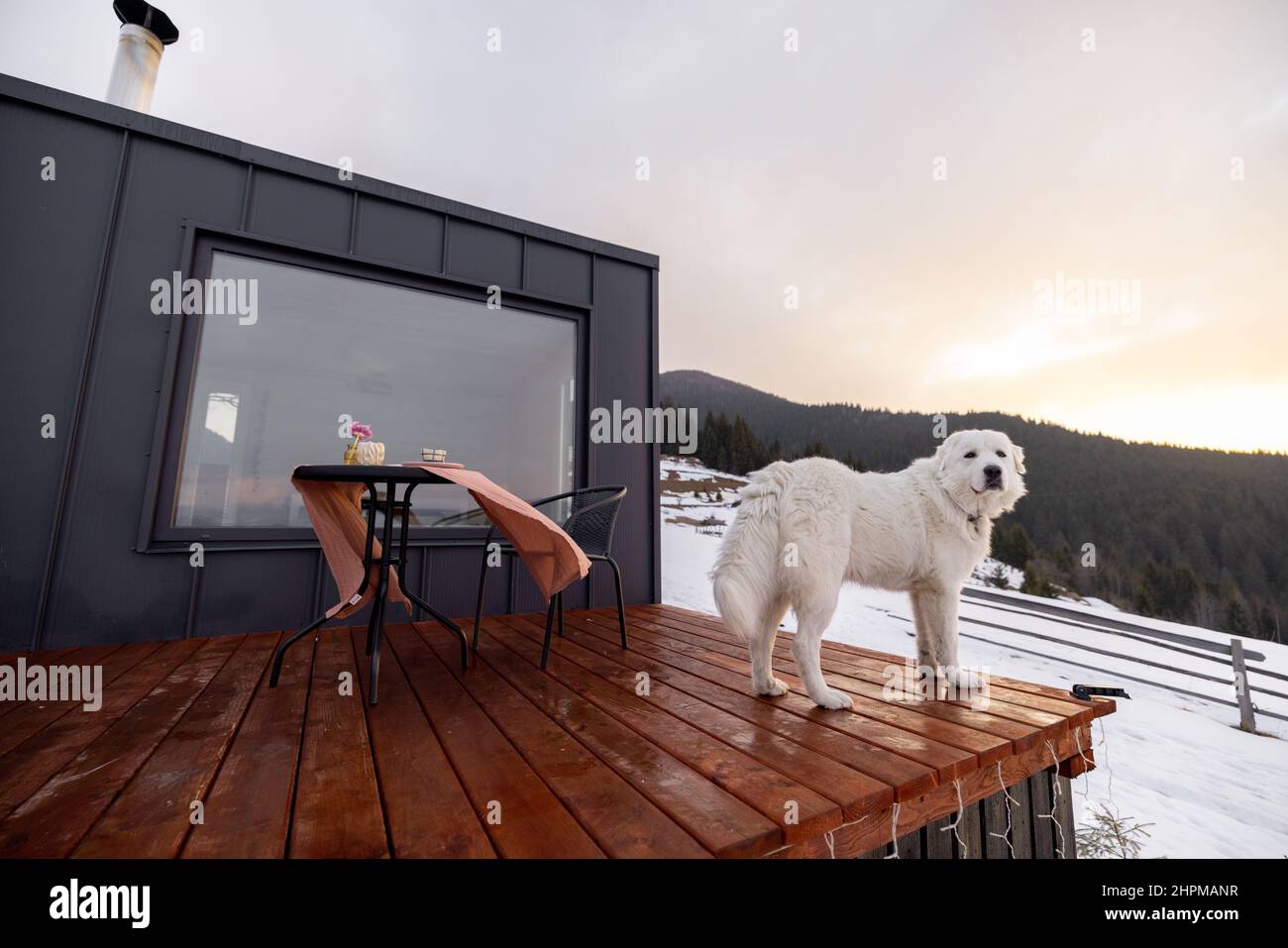 Dog on terrace of tiny house in the mountains Stock Photo - Alamy