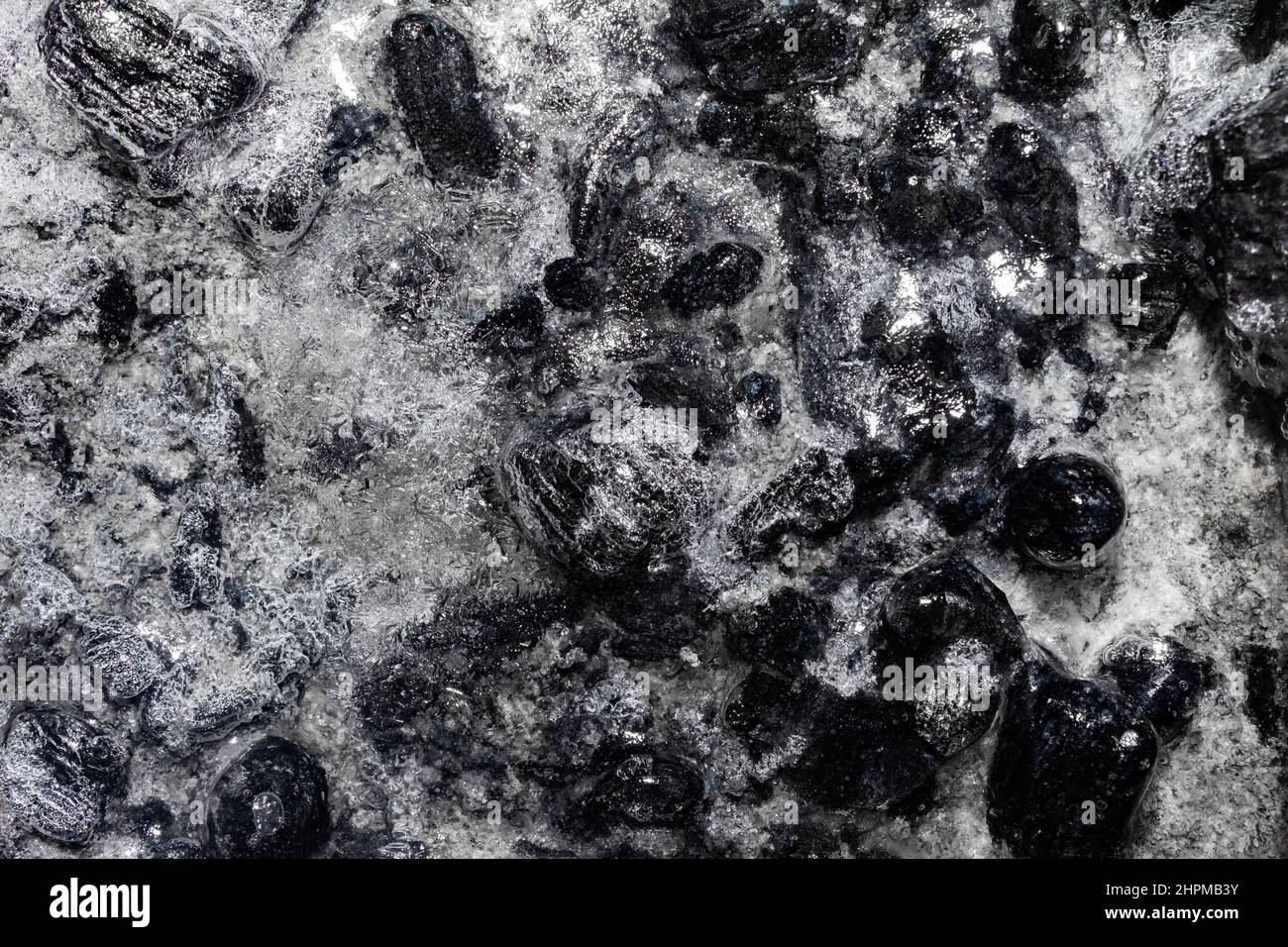 Close up photo of frozen burned wooden coal covered in ice, surface ...